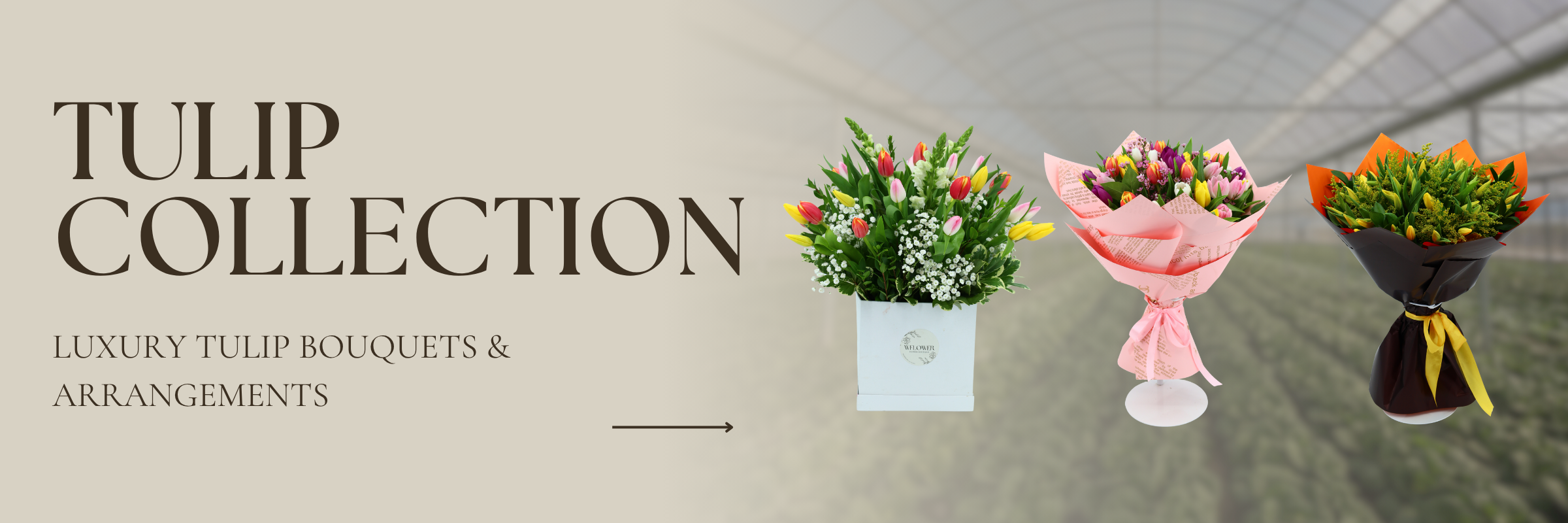 Luxury Tulip Bouquets & Arrangements | Imported Holland Tulips | WFLOWER